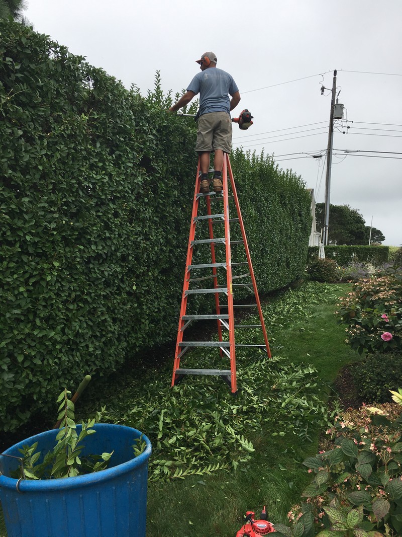 Portfolio - Good Guys Landscaping Services