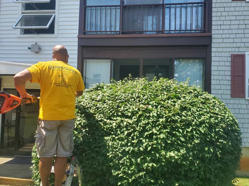 Portfolio - Good Guys Landscaping Services